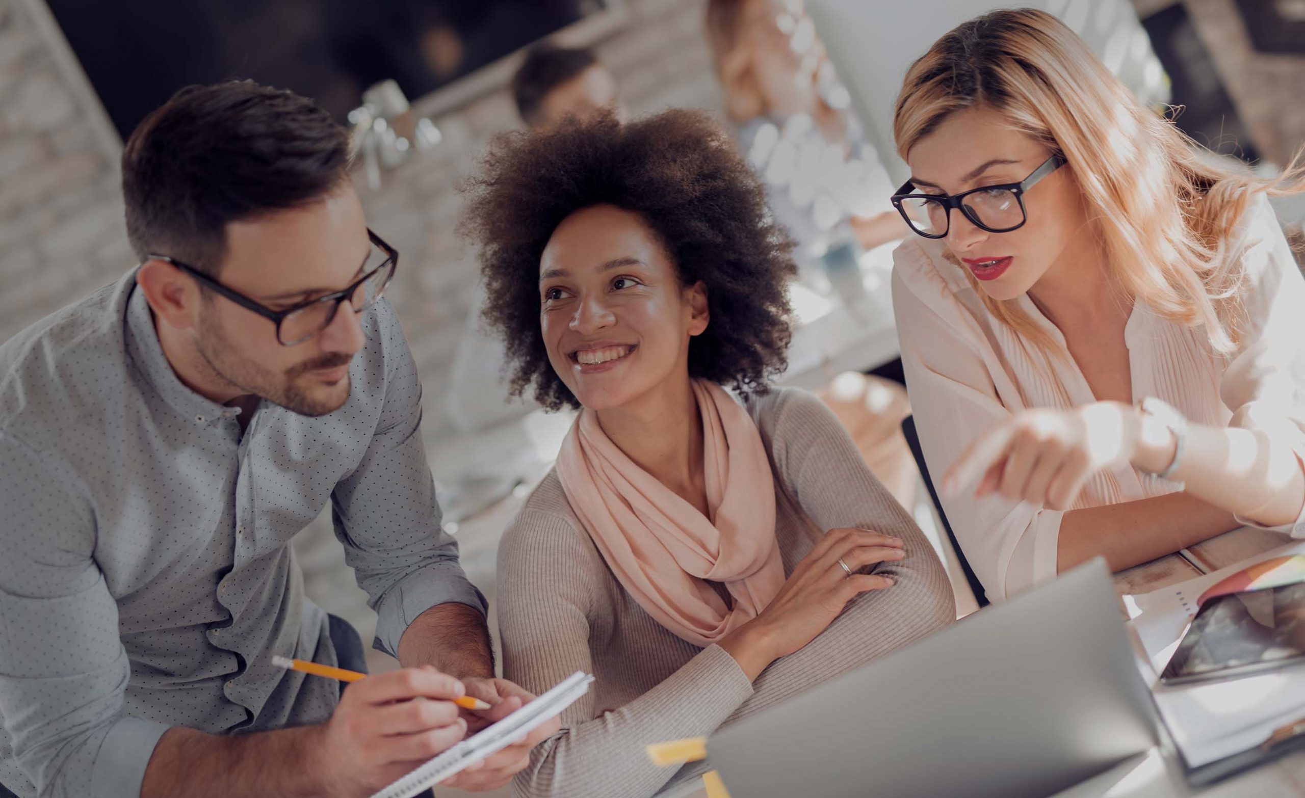 Basic All in One SEO Optimized Web Development Packages